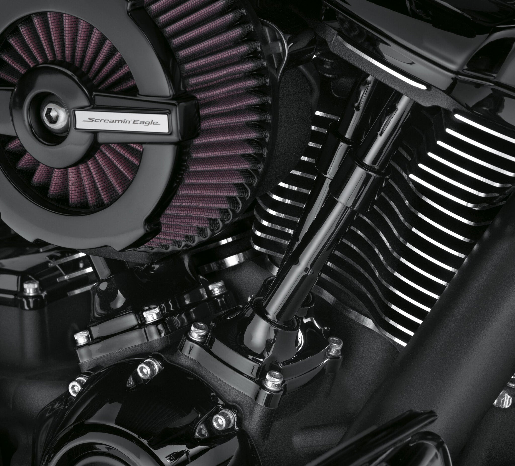 Harley Davidson 25700890 Tappet Covers KIT,CVR/SLG,TAPPET,BLK - Iron ...