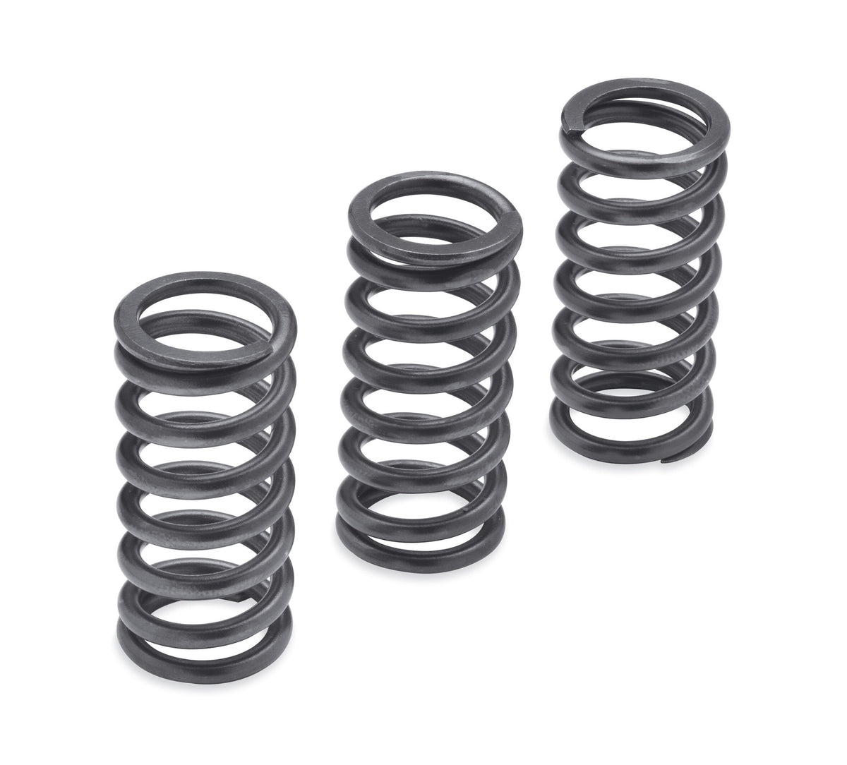 Harley Davidson 37000286 Milwaukee-Eight Engine Clutch Springs - 1275N ...