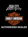 Harley Davidson 25585-06 CAMSHAFT CHAIN & FASTENER KIT W/ 25566-06, 25 ...
