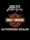 Harley Davidson 29400358 OEM FILTER FILTER,AIR,CENTER BOLT - Iron City ...