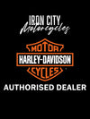 Harley-Davidson 29400109 Screamin‚ Eagle High-Flo K&N Replacement Air ...